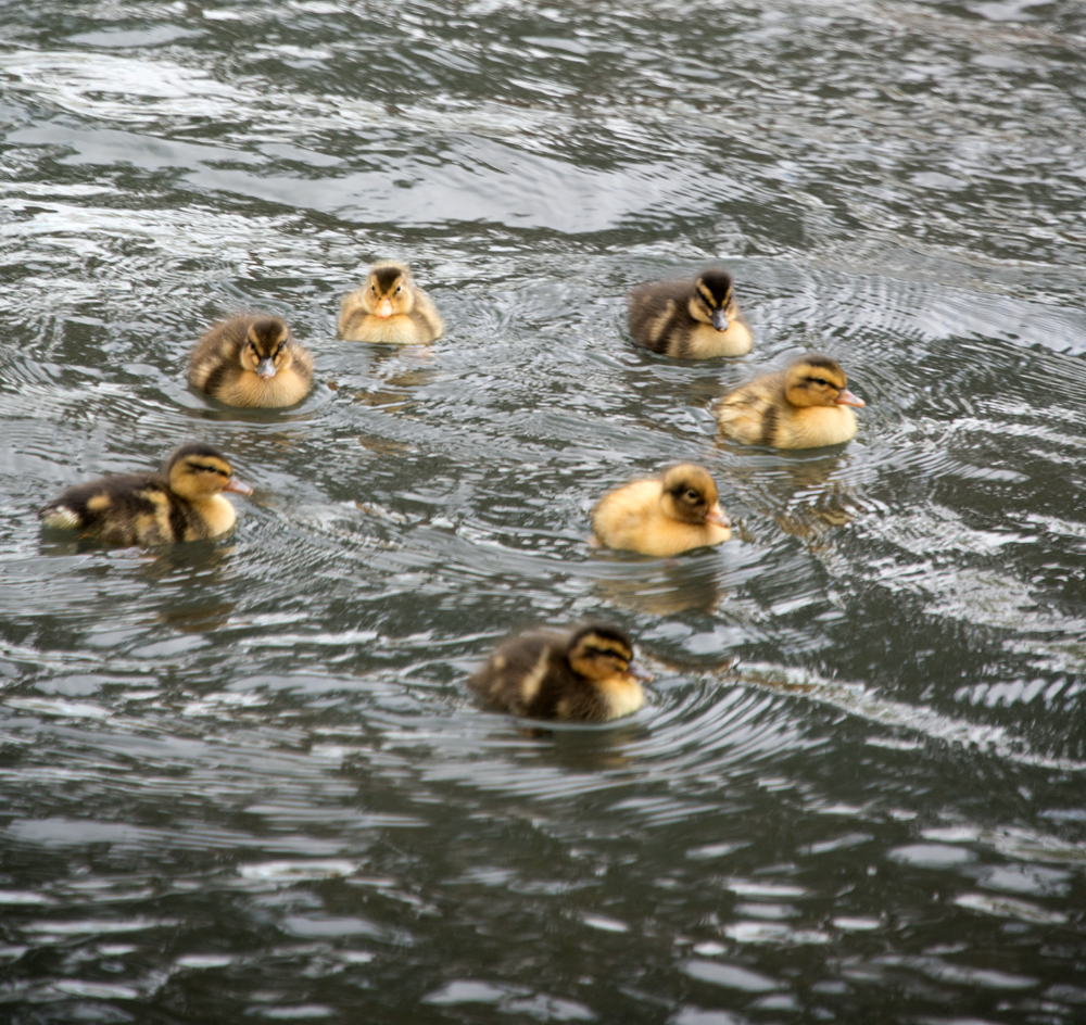This Water Stuff is Quite Interesting – Night Cycling
