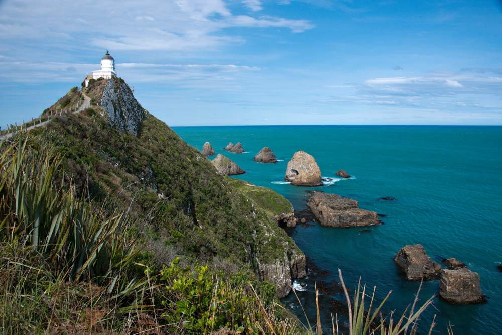 Nugget Point – Night Cycling