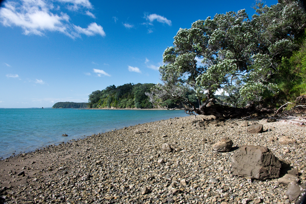 Scott Point – Night Cycling
